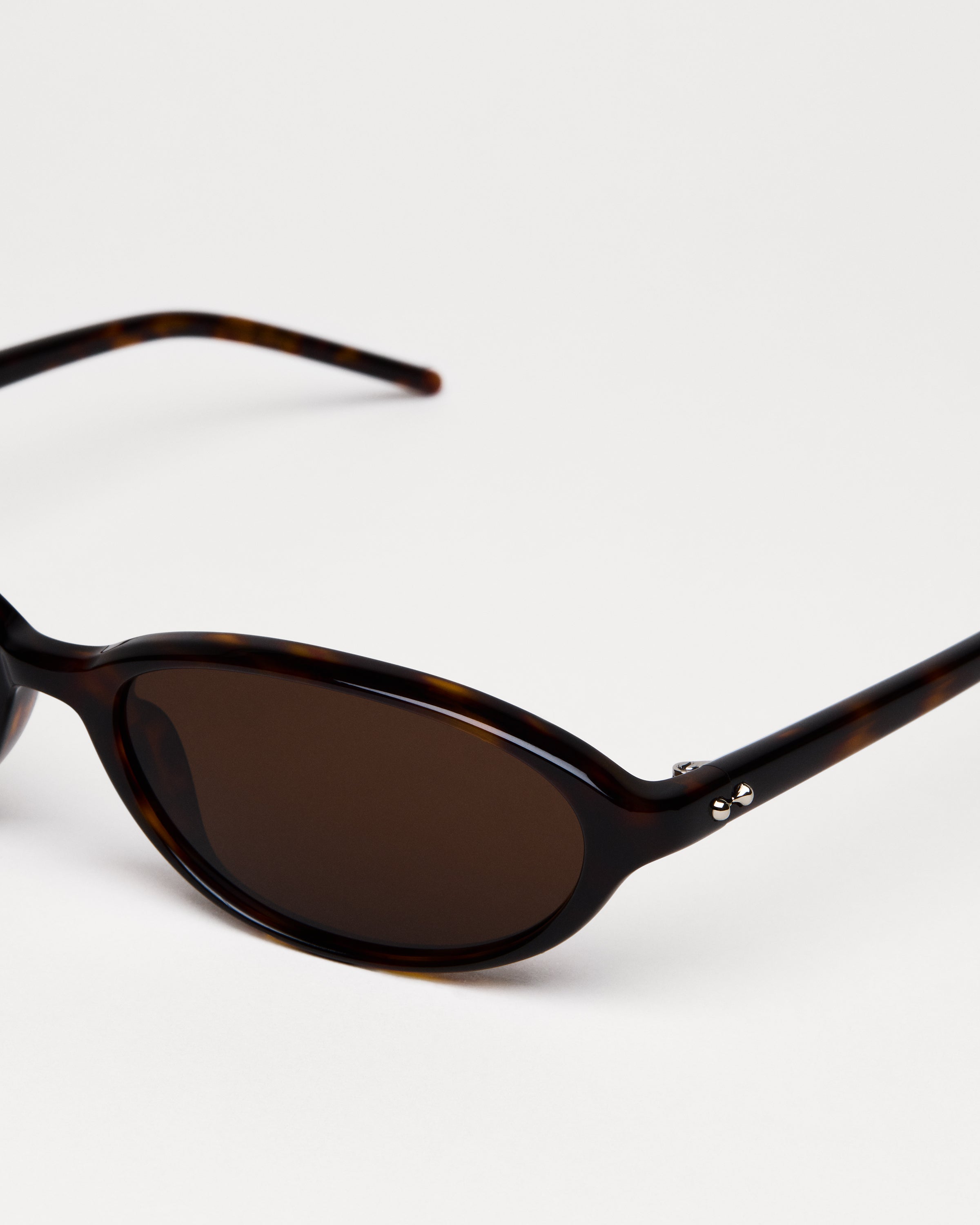 Elipse - Tortoise – Andrá Reykjavík