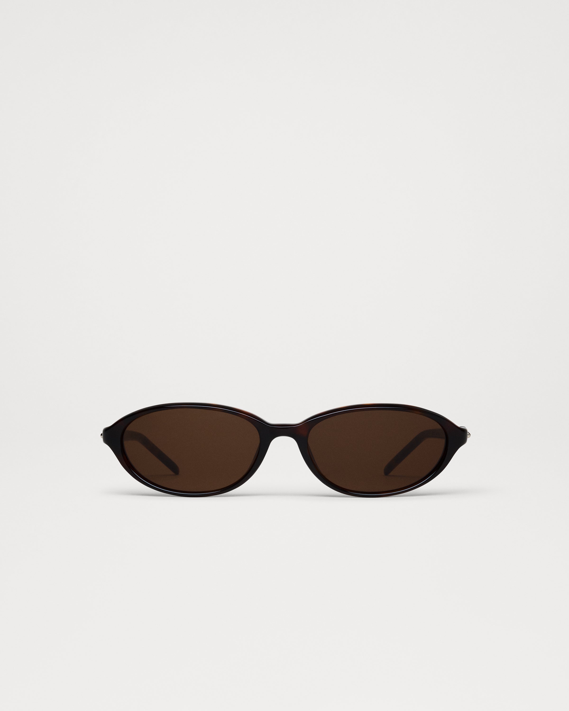 Elipse - Tortoise – Andrá Reykjavík